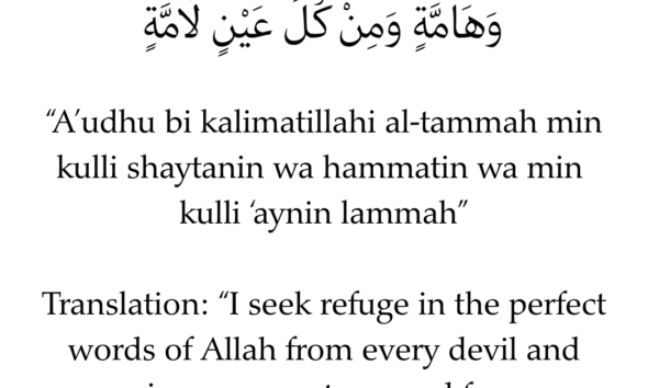 Best Surah to Read Daily | Islamic Guide for Spiritual Benefits